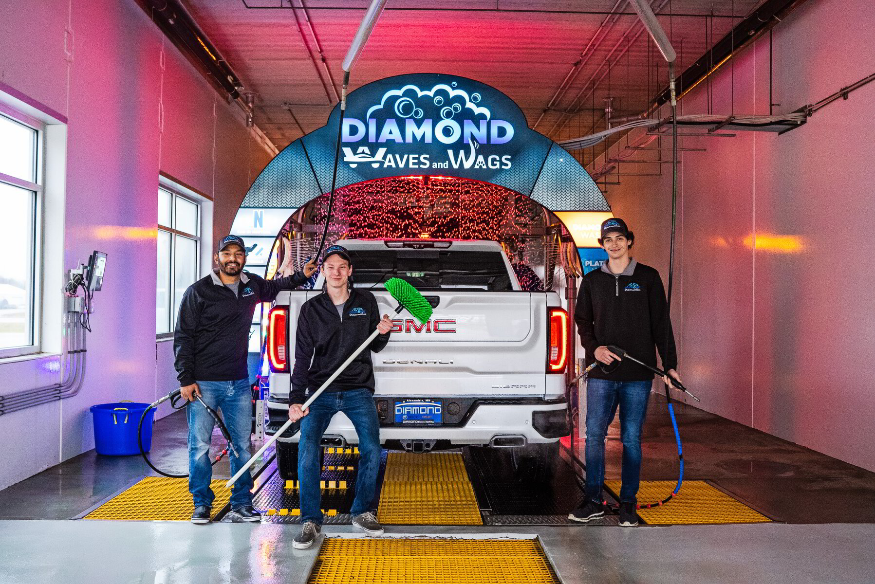 Diamond Waves and Wags - Join the Team