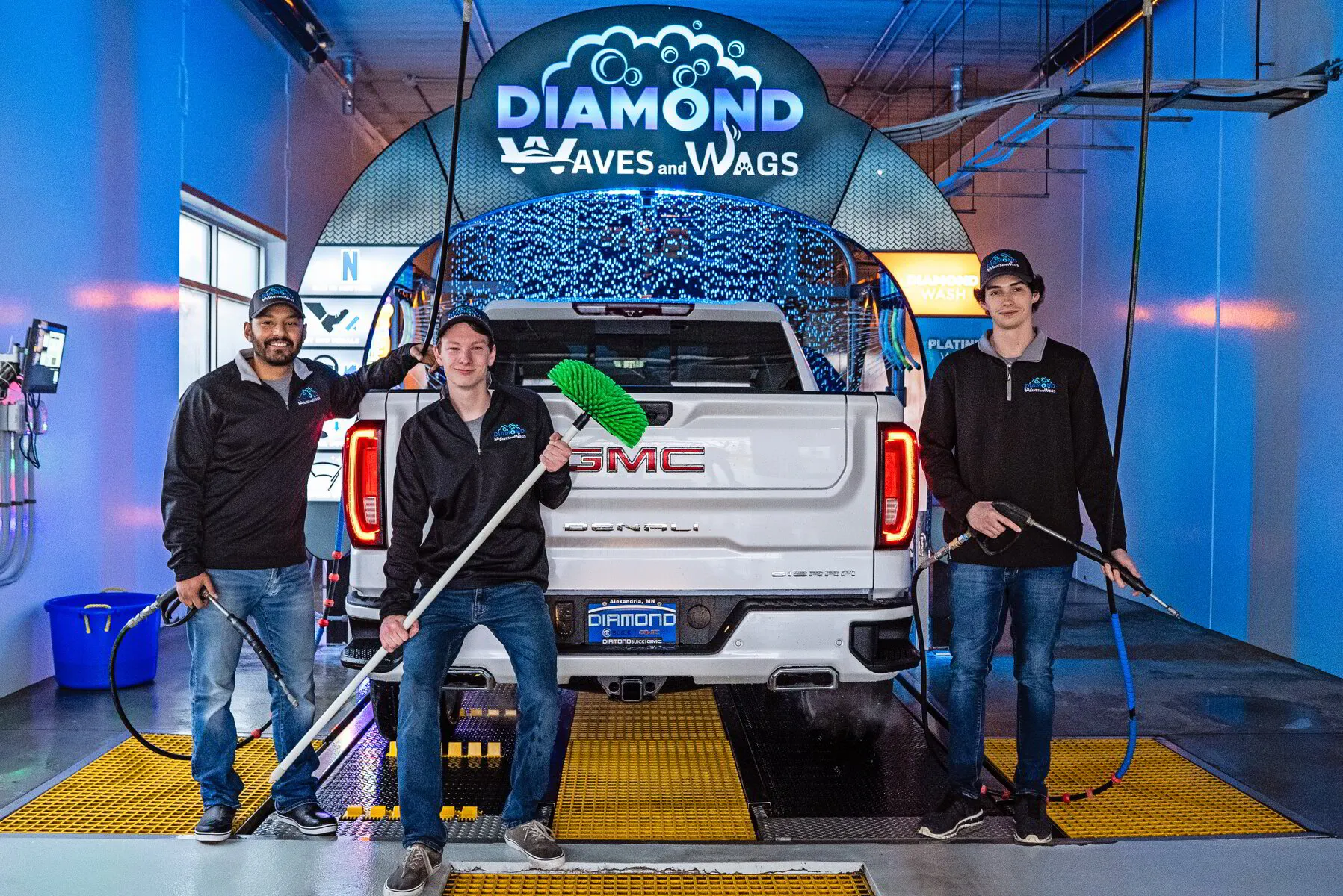 Diamond Waves and Wags - Join the Team