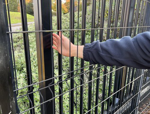 Safety and Compliance for Automatic Door and Gate Systems | PW Solutions