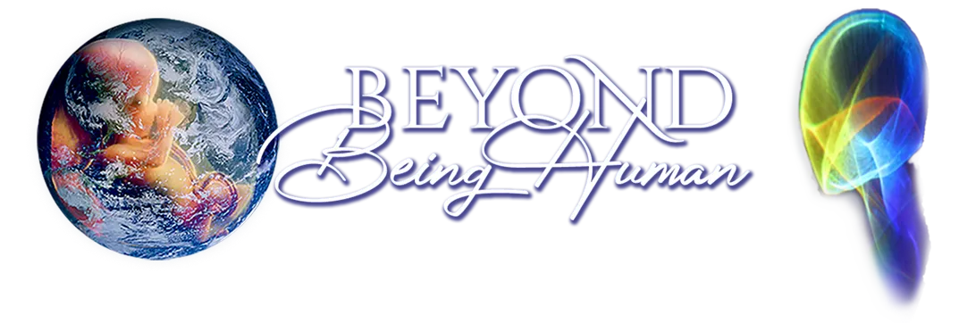 Our Multidimensional Relationships – Discussion Panel