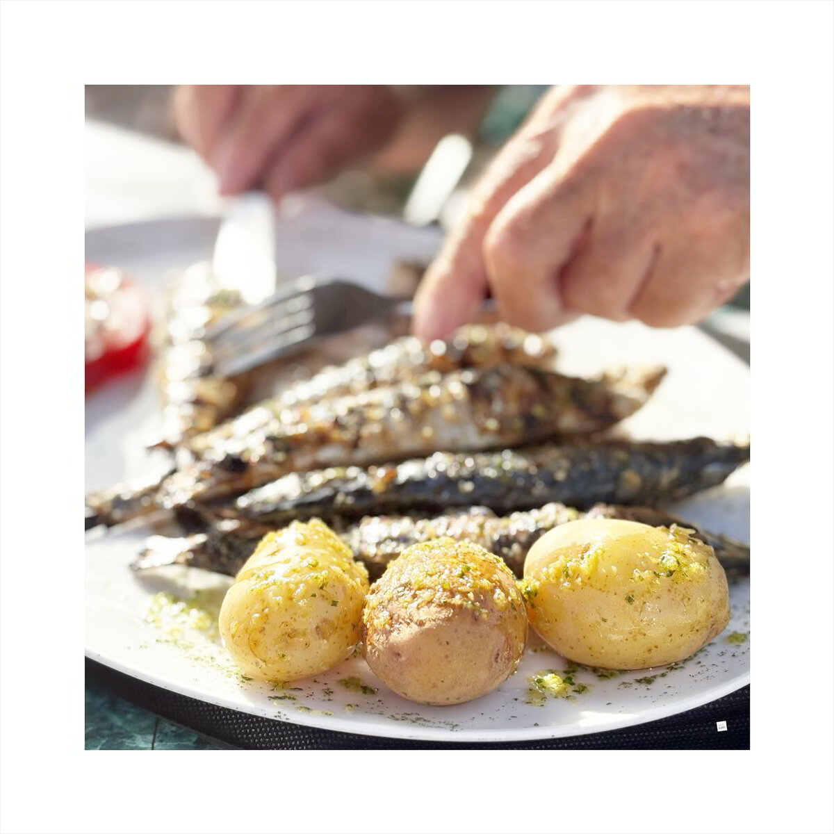 How to Sardine