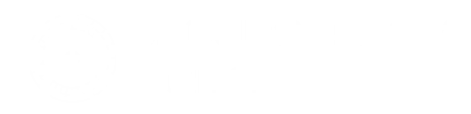 Cloudstream Chat. An AI-powered WhatsApp bot.