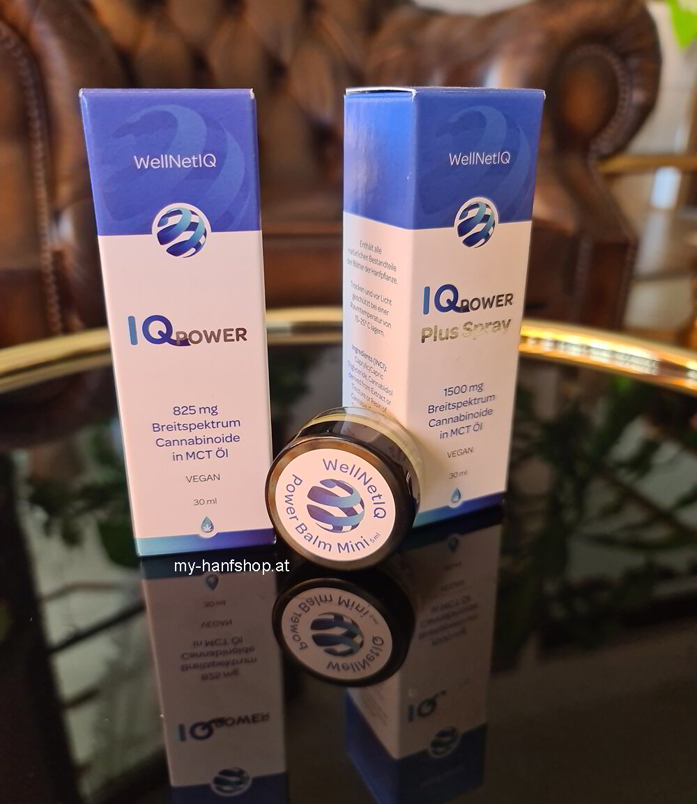 Kombipaket (IQ-Power, IQ Power Plus Spray, 1 Palm Mini Gratis)