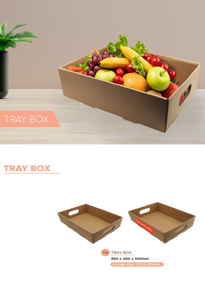 Corrugated Box