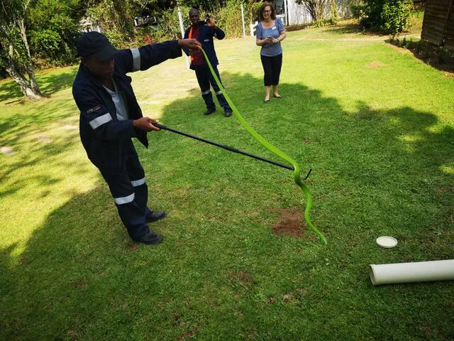 Snake Identification, Handling & Snakebite Treatment Training Courses