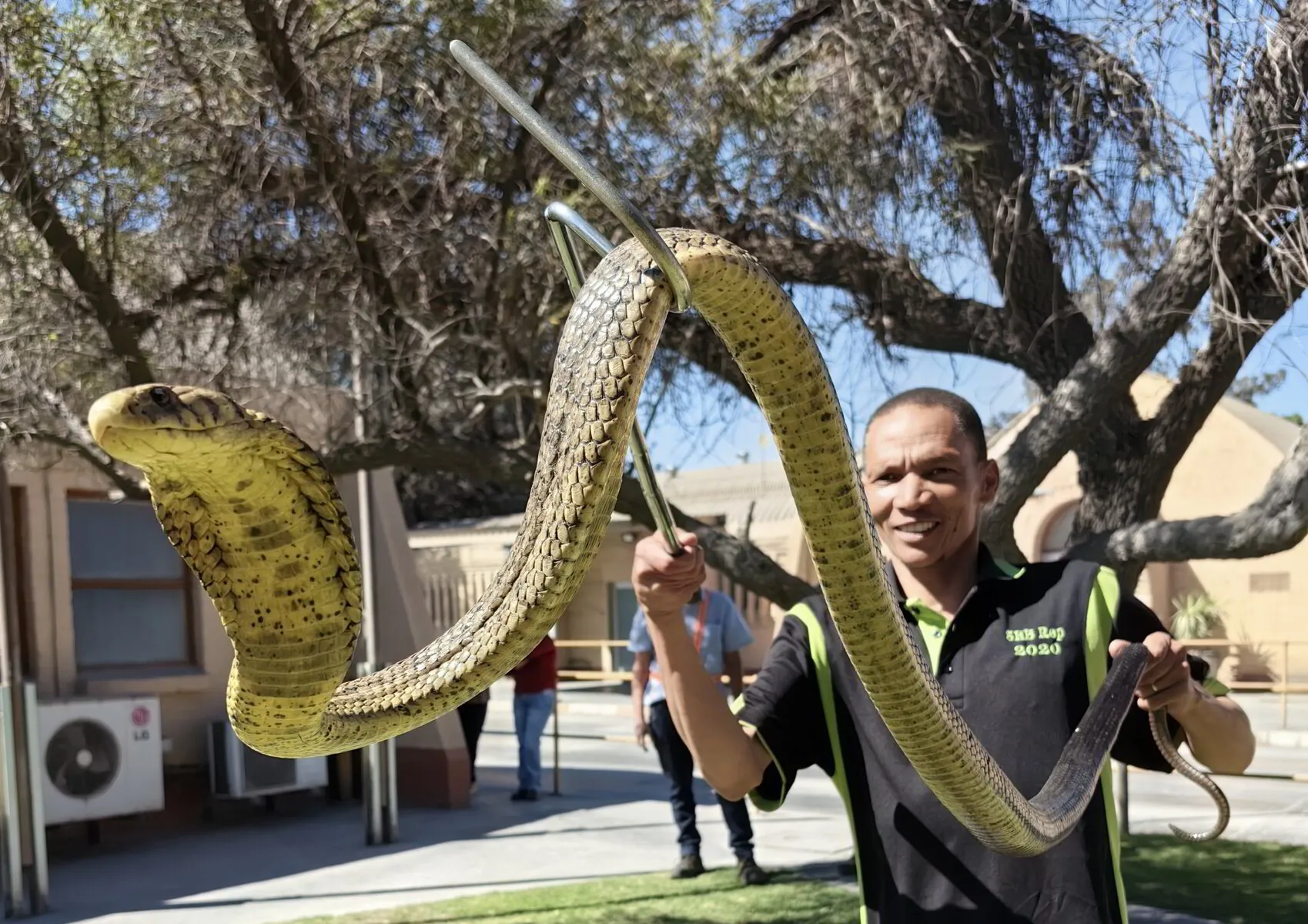 SNAKE HANDLING EQUIPMENT EVERY WORKPLACE NEEDS