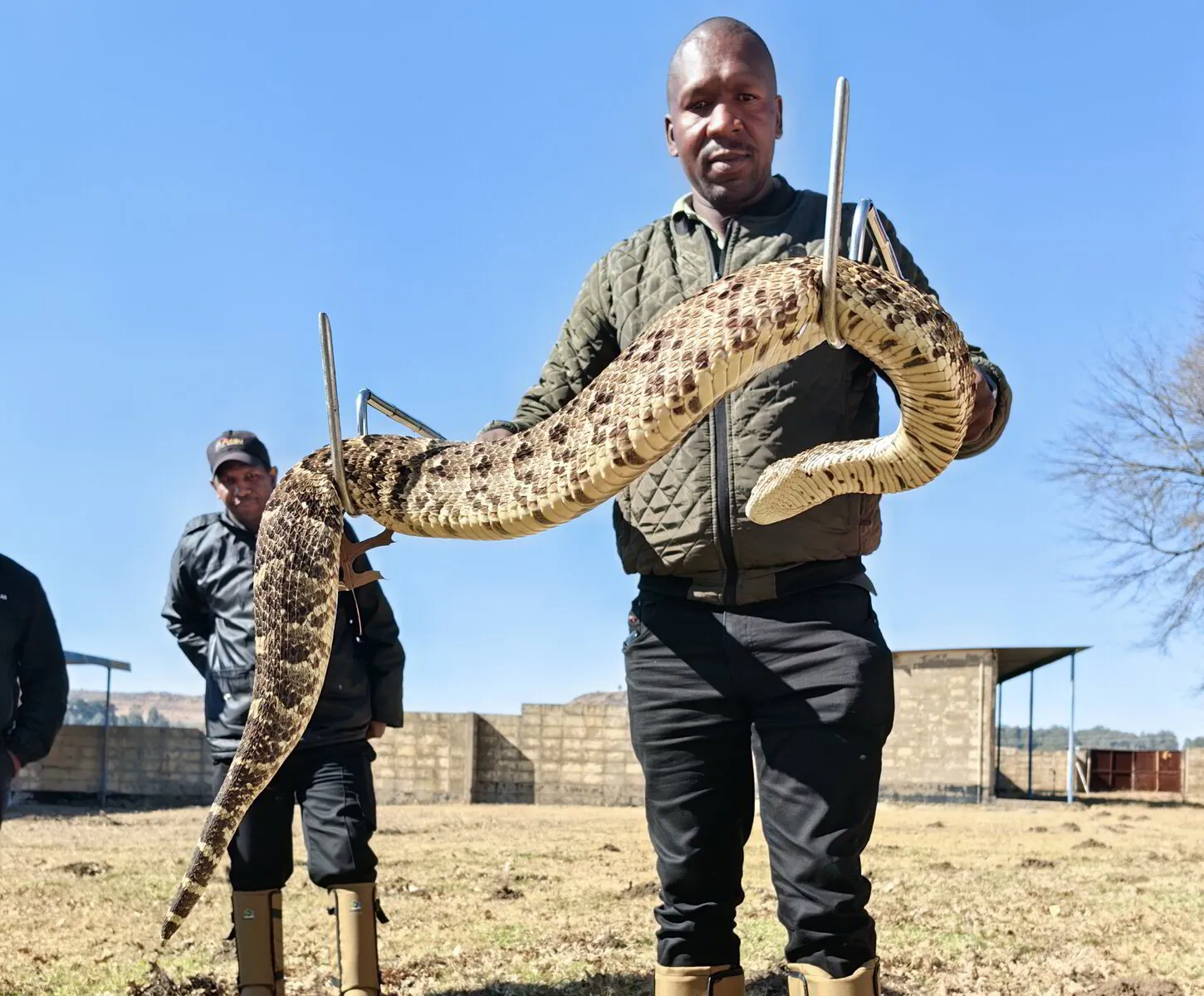 CONDUCTING A SNAKE RISK ASSESSMENT IN HIGH-RISK INDUSTRIES