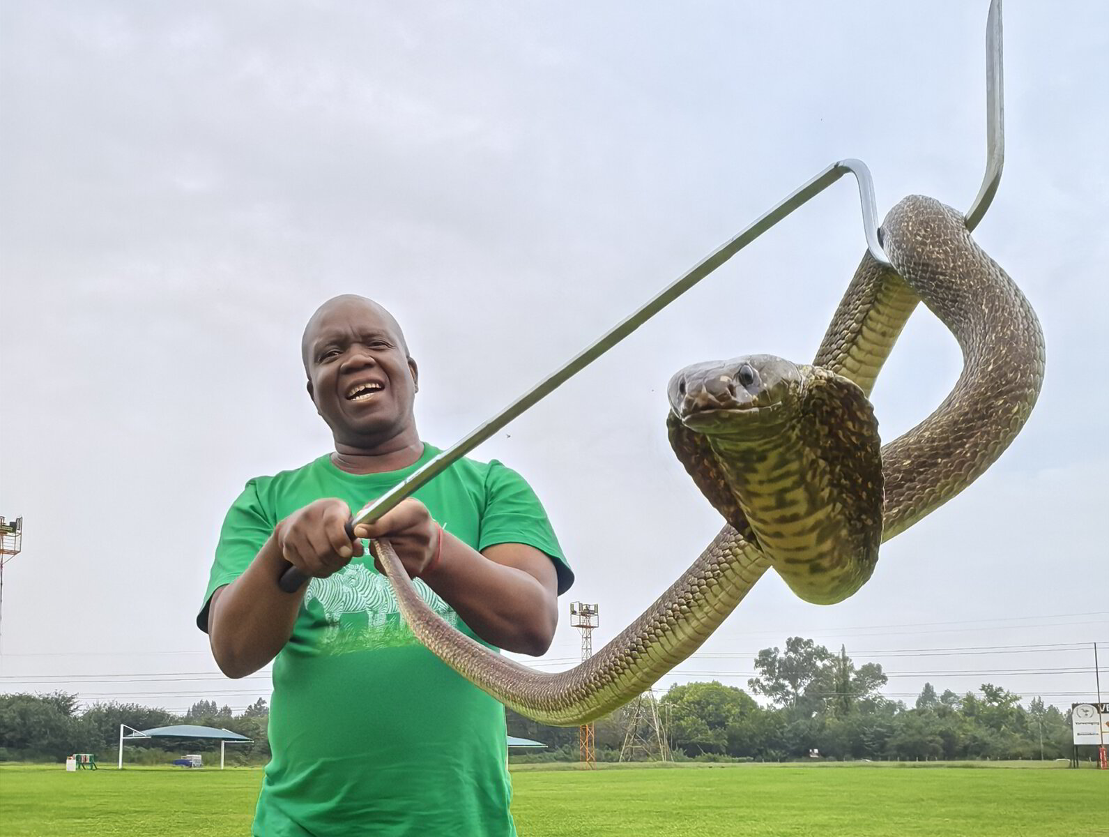 ENSURING STAFF PREPAREDNESS WHEN FACED WITH A SNAKE