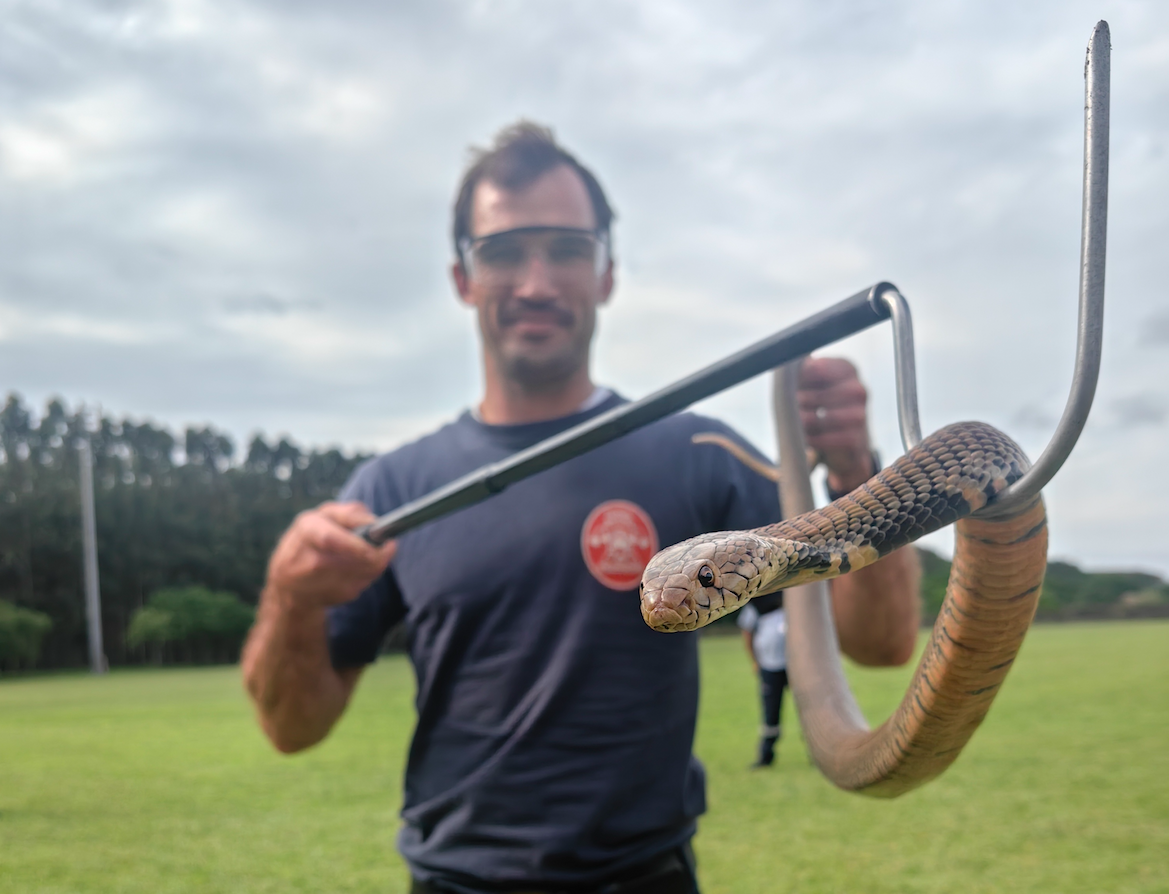 THE ULTIMATE GUIDE TO SNAKE HANDLING TRAINING IN SOUTH AFRICA