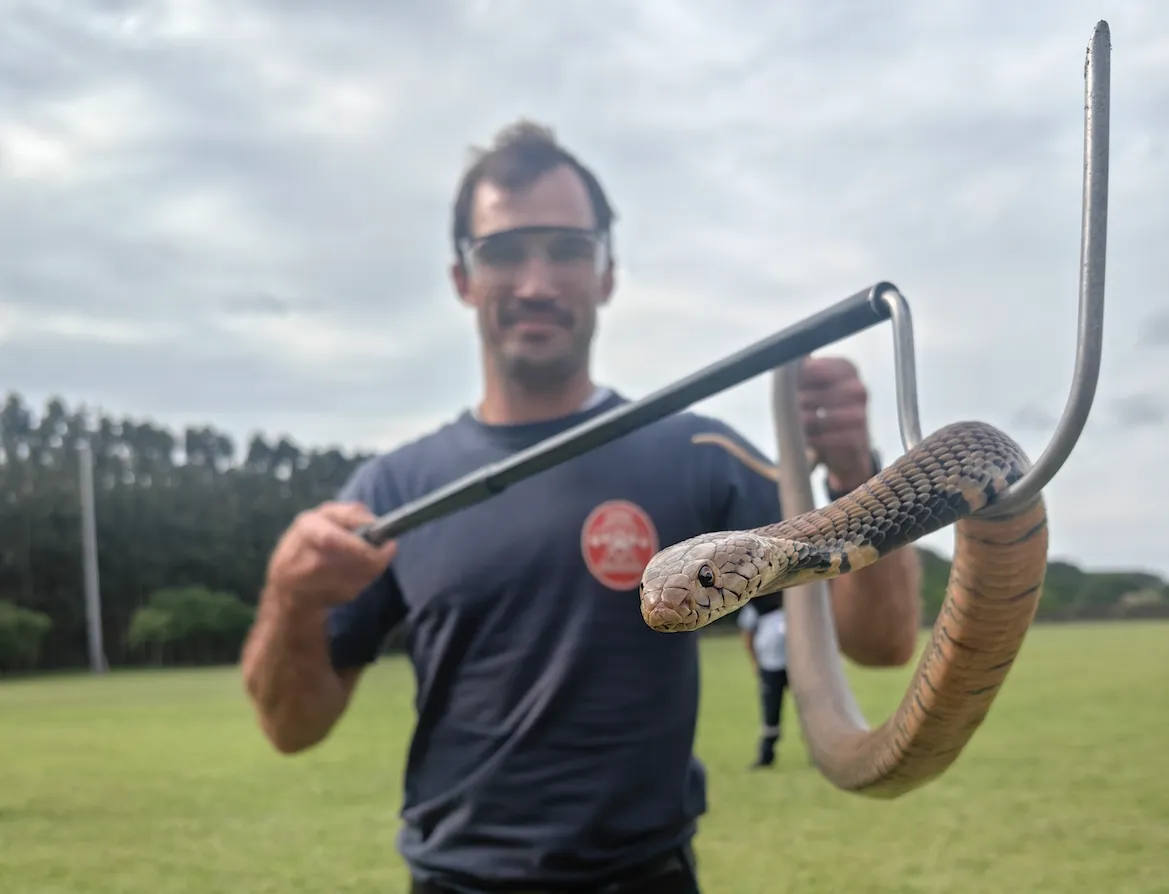 THE ULTIMATE GUIDE TO SNAKE HANDLING TRAINING IN SOUTH AFRICA