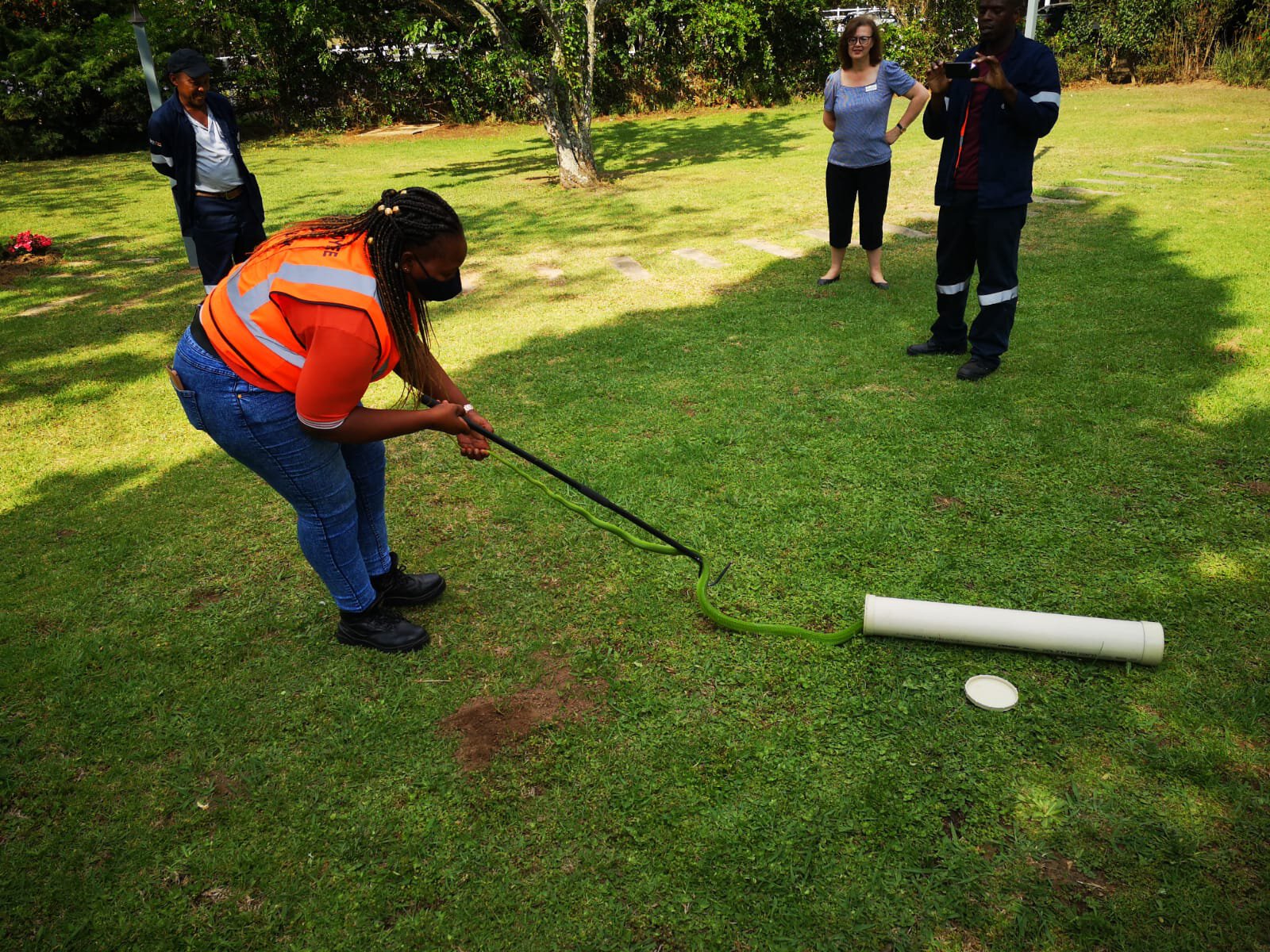 Snake Training and Safety Compliance in the Workplace