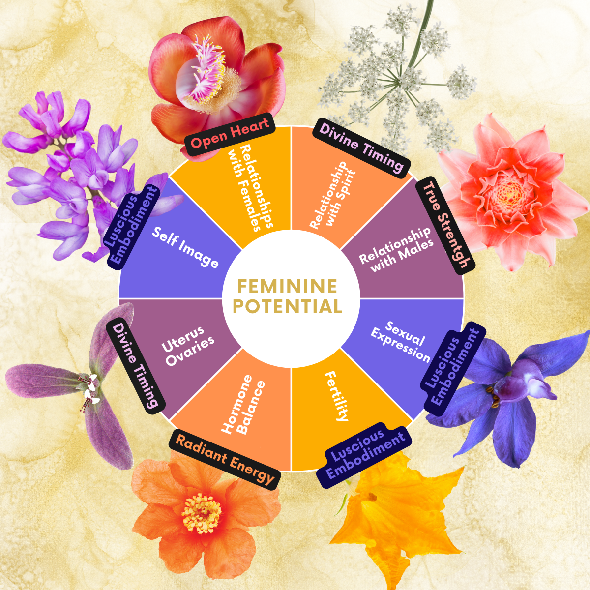 Women's Reproductive Health - Energetic Kinesiology + Flower Essences