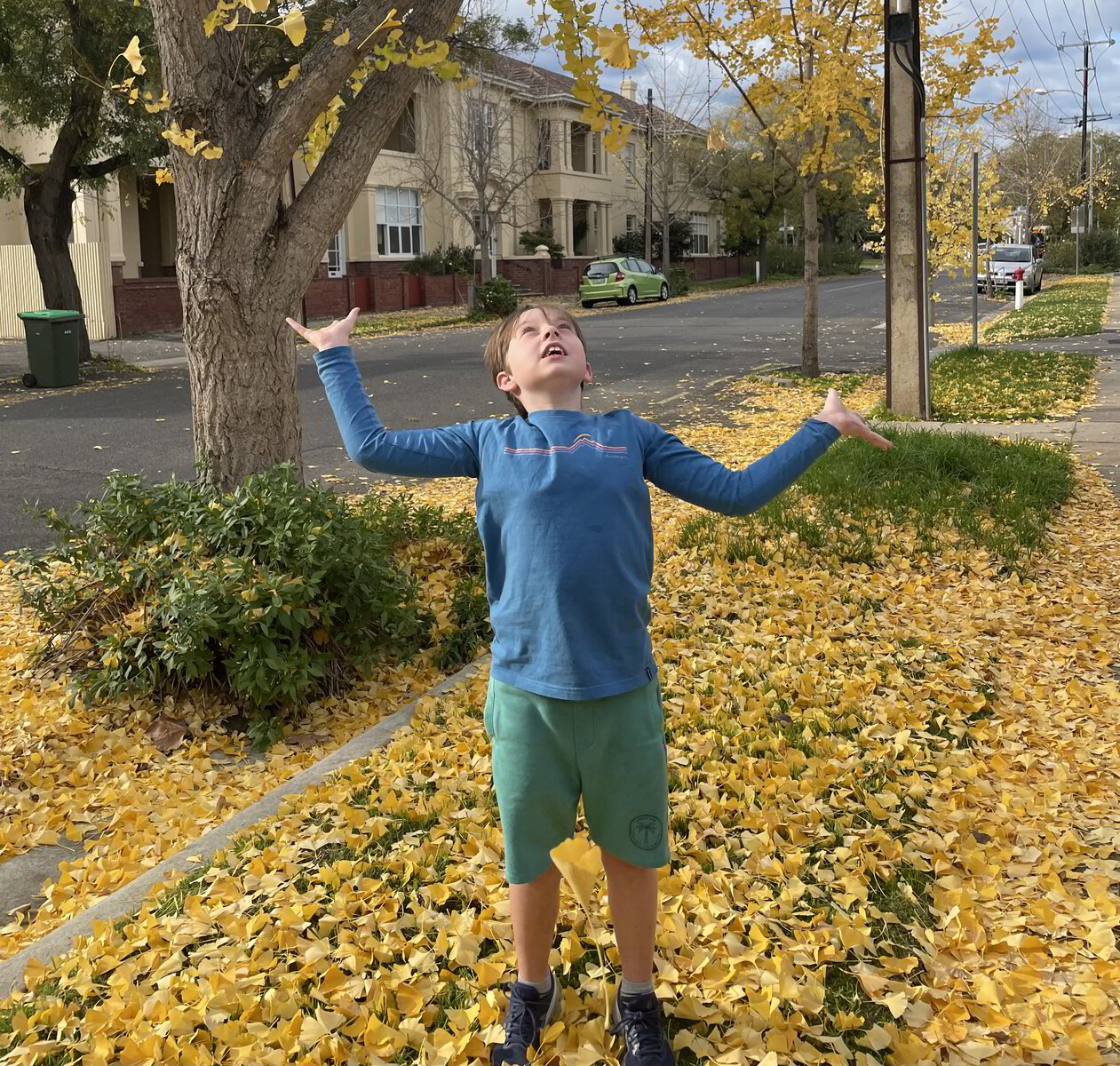 Autism + Flower Essences