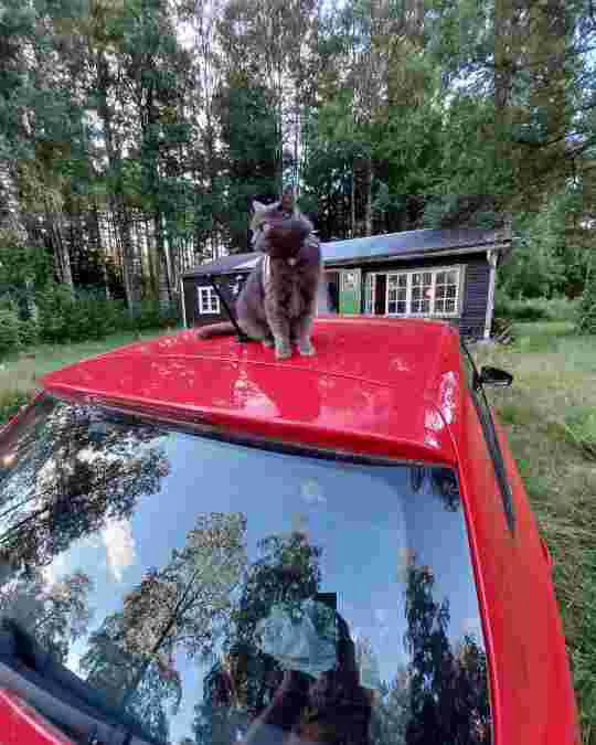 Så gick det sen - Luna