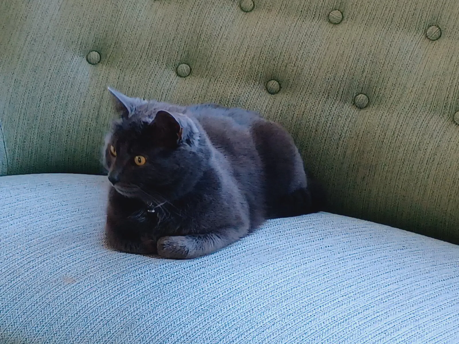 Så gick det sen - Luna