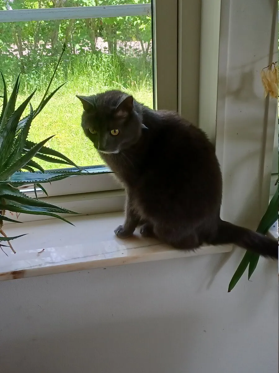 Så gick det sen - Luna