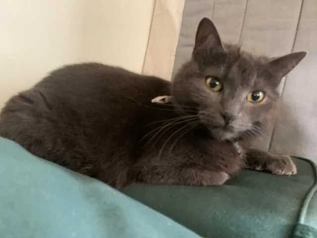 Så gick det sen - Luna