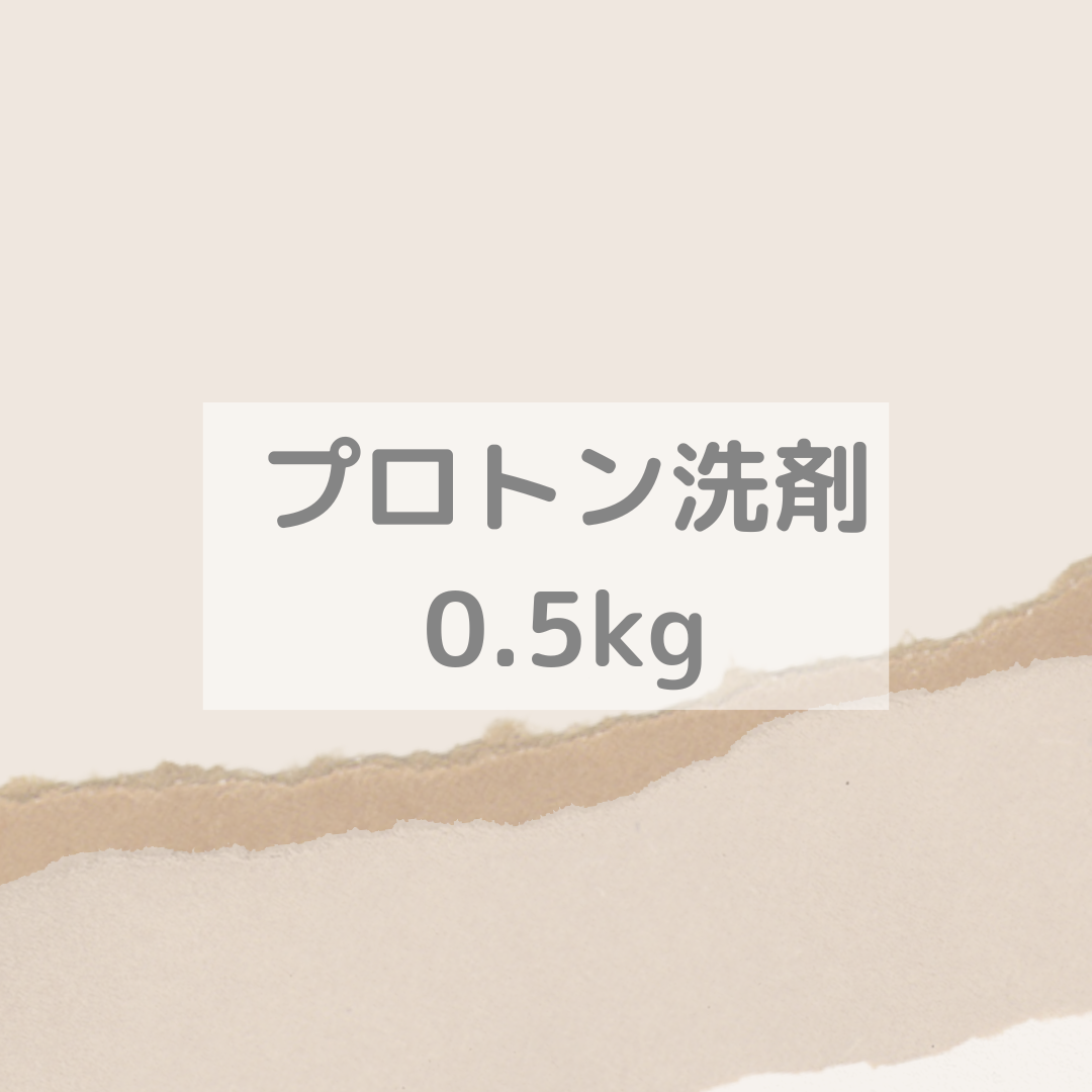 プロトン 洗剤（0.5kg）※スプーン別売り