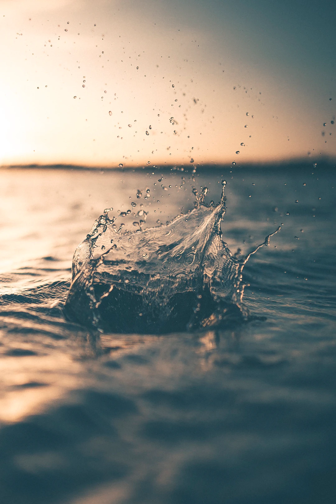 💧 The Importance of Water for Muscle & Skeletal Function