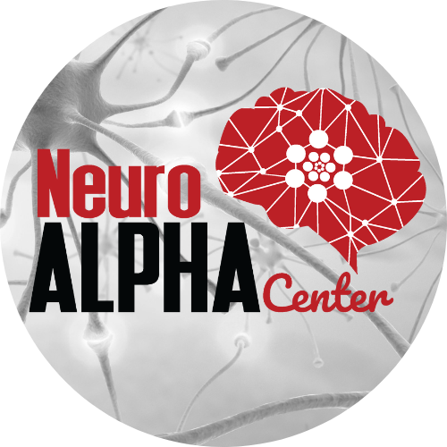 Terapia Electromagnética