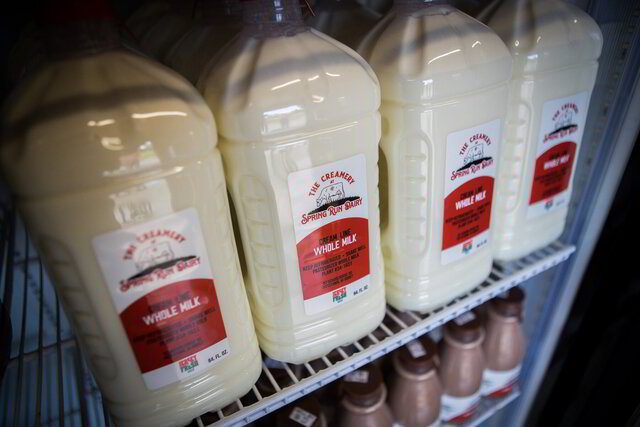 Home [springrundairy.com]