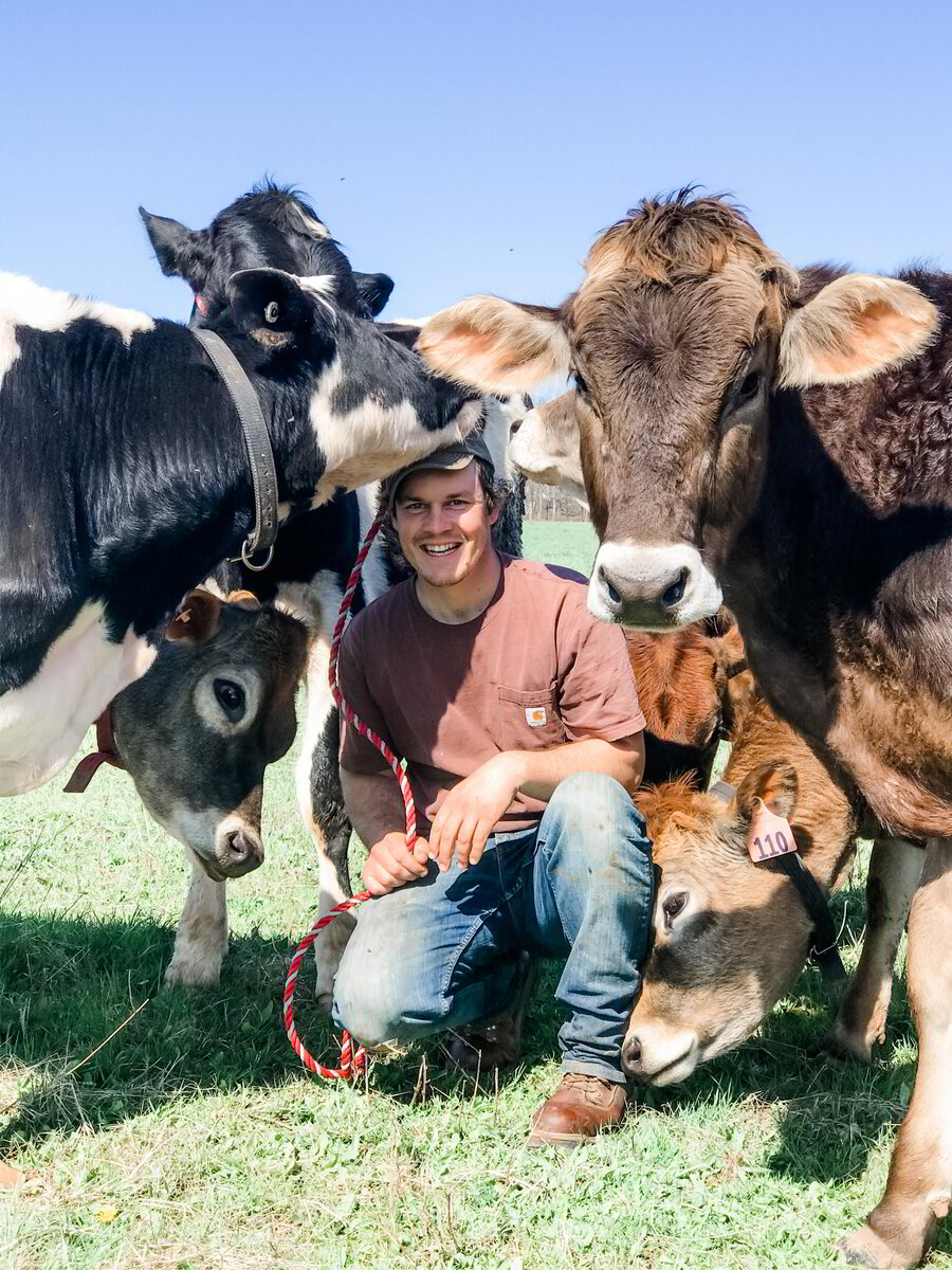 Home [springrundairy.com]