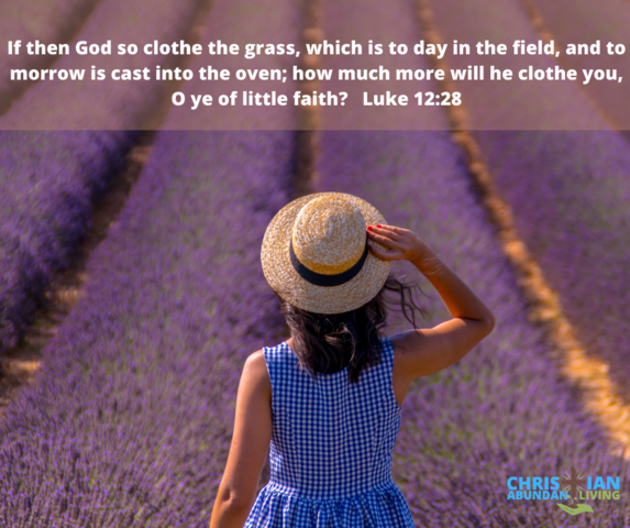 Bible Verse of the Day