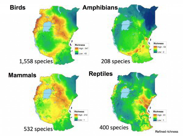 Climate Change Modeling