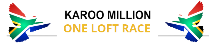 About | Karoo Million One Loft South Africa