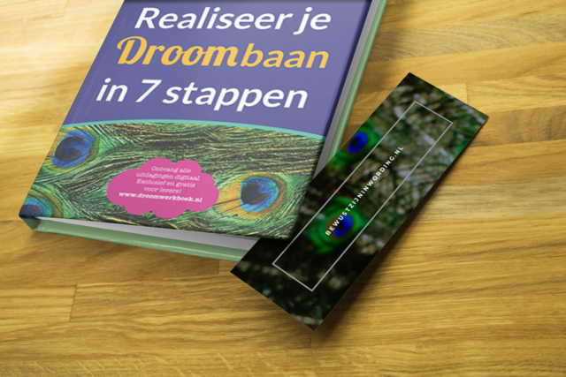 Breng je wensen en mogelijkheden voor een nieuwe baan in kaart en vind ...