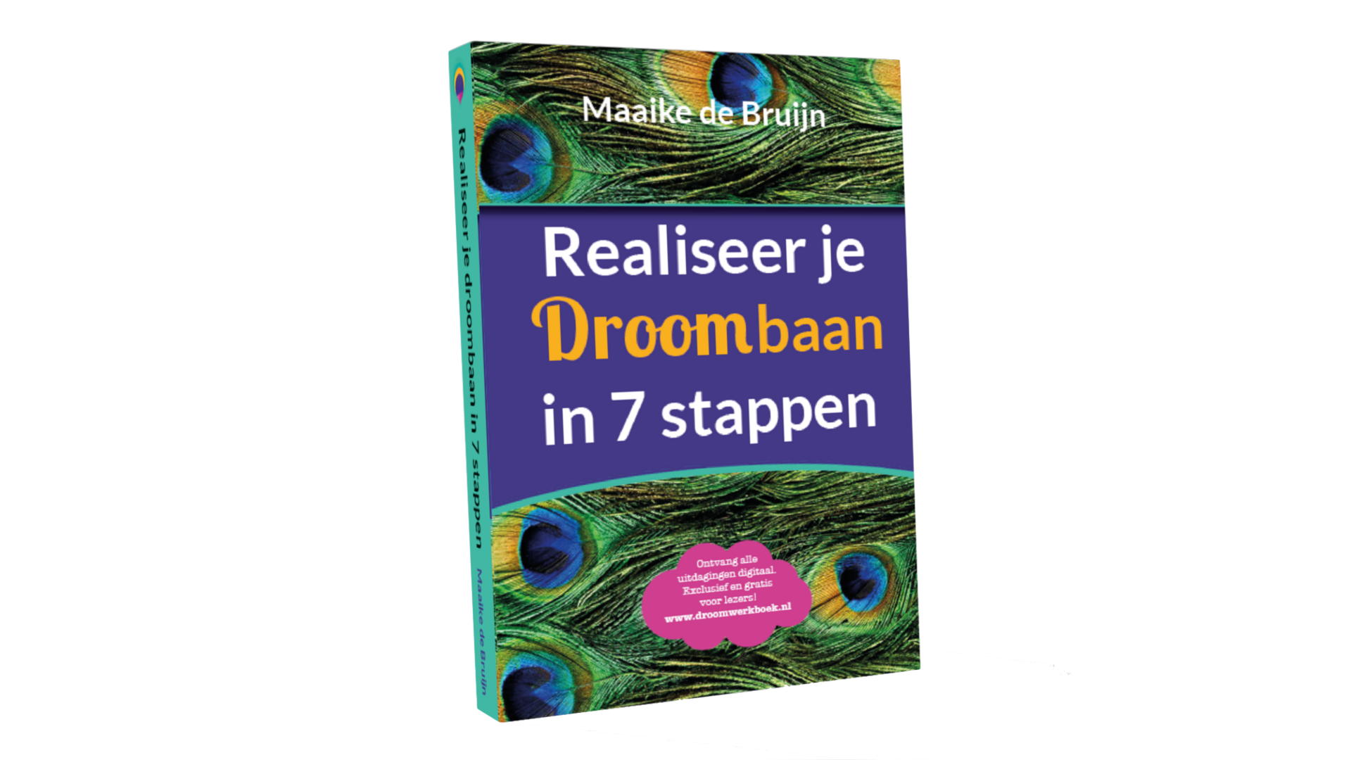 Boek paperback Realiseer je droombaan in 7 stappen