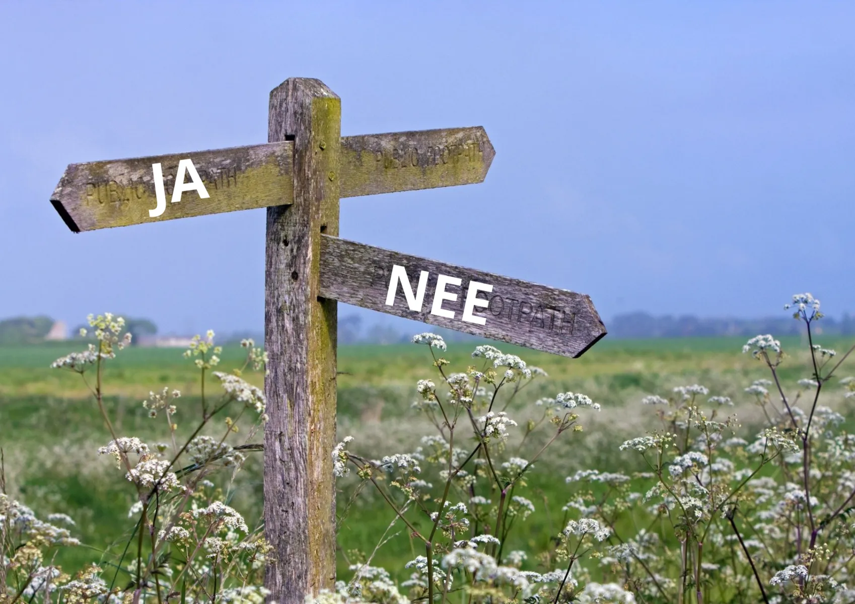 Keuzes maken en beslissingen nemen volgens jouw Human Design