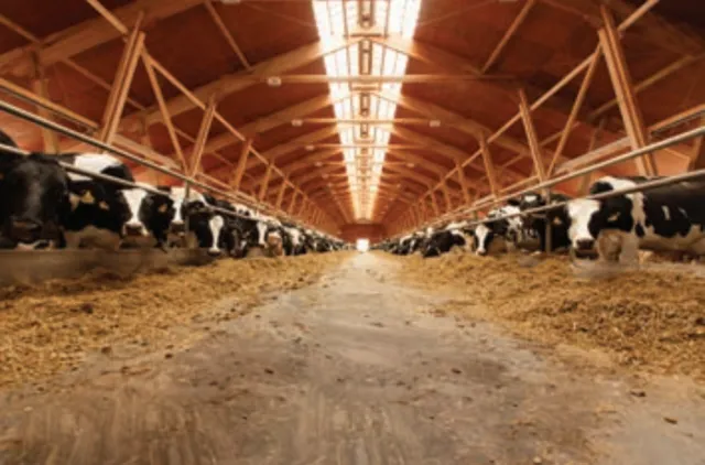 Mobilni BIO-Kuleri svih kapaciteta