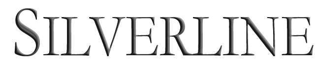 Silverline LLC