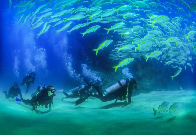 8 Beneficios del Buceo para tu Salud