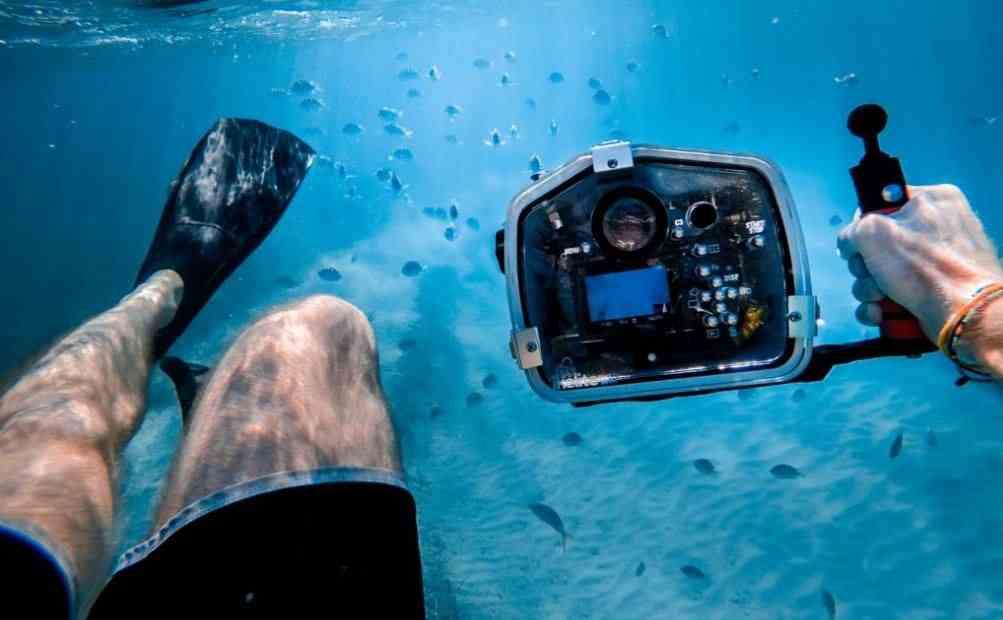 Escuela de buceo / Curso de buceo de Fotografía Sub acuática en linea.