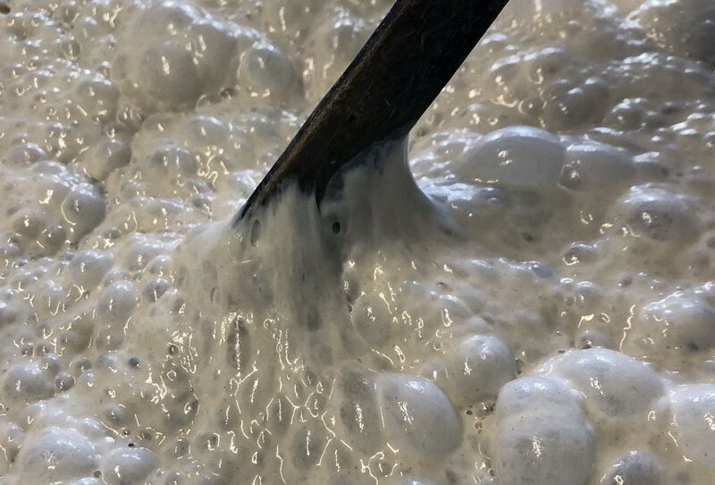 Digestive Secret Revealed: Why This Artisan Bread Could Transform Your ...