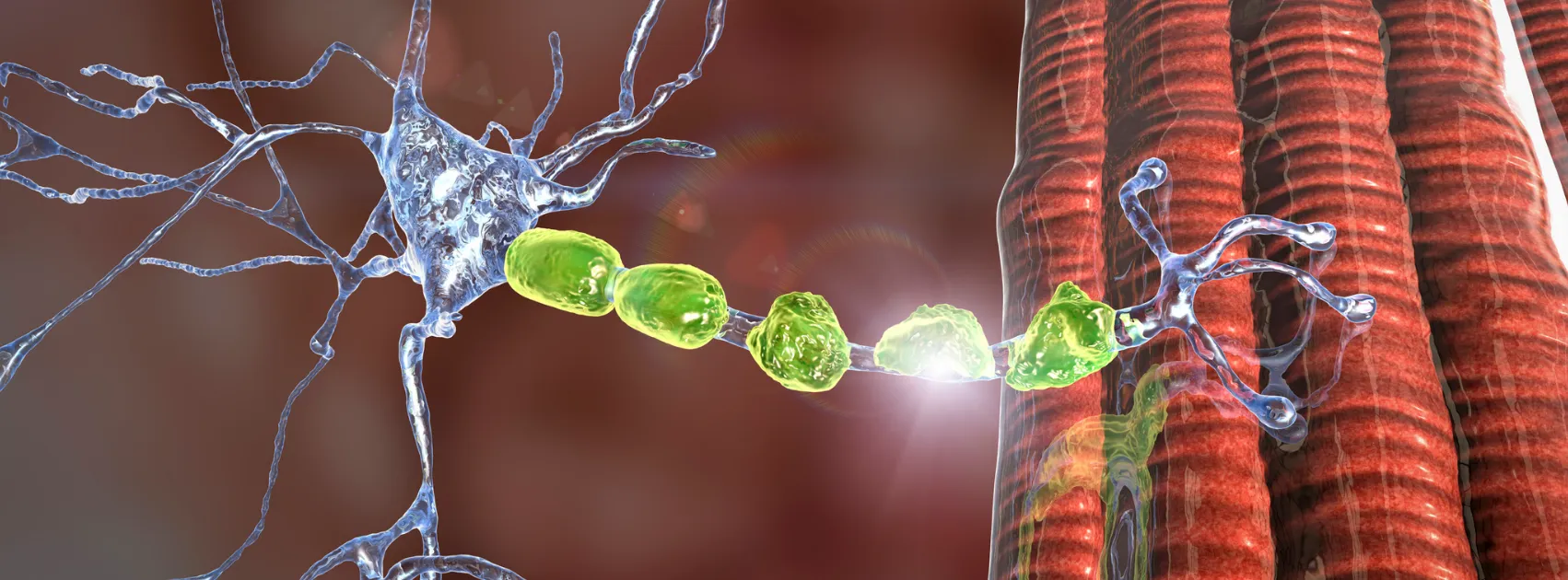 Navigating the Spectrum of Neuropathies: From Diabetic to Hereditary ...