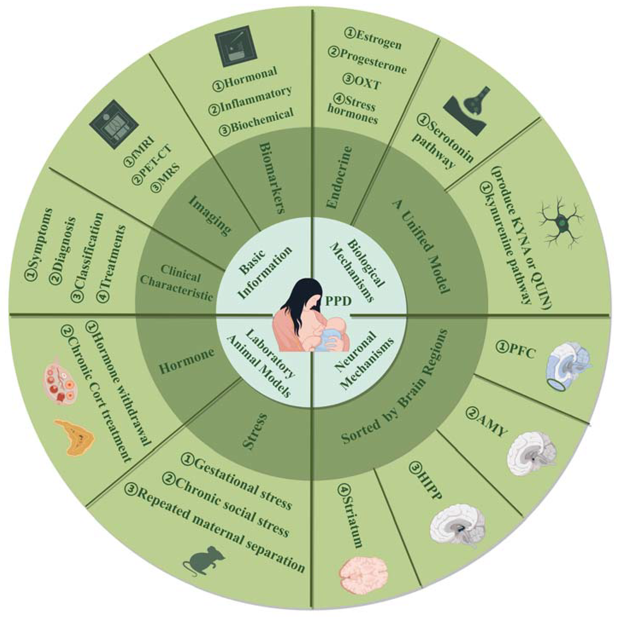 Postpartum Depression Screening Tool Postpartum Depression Screening Tool