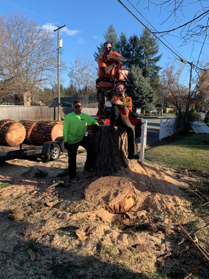 Home [treeandlandscapeservicesllc.com]