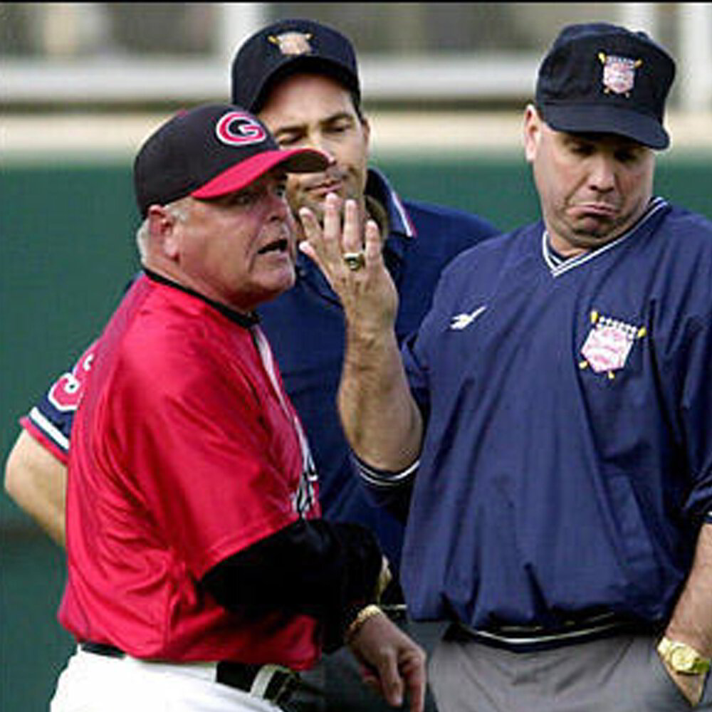 The Baseball Playbook | Official Home of Coach Ron Polk