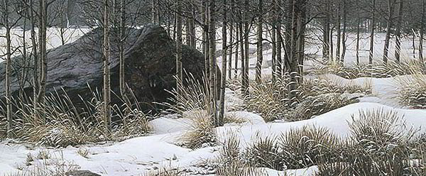 Winter Shadows - Black Wolf