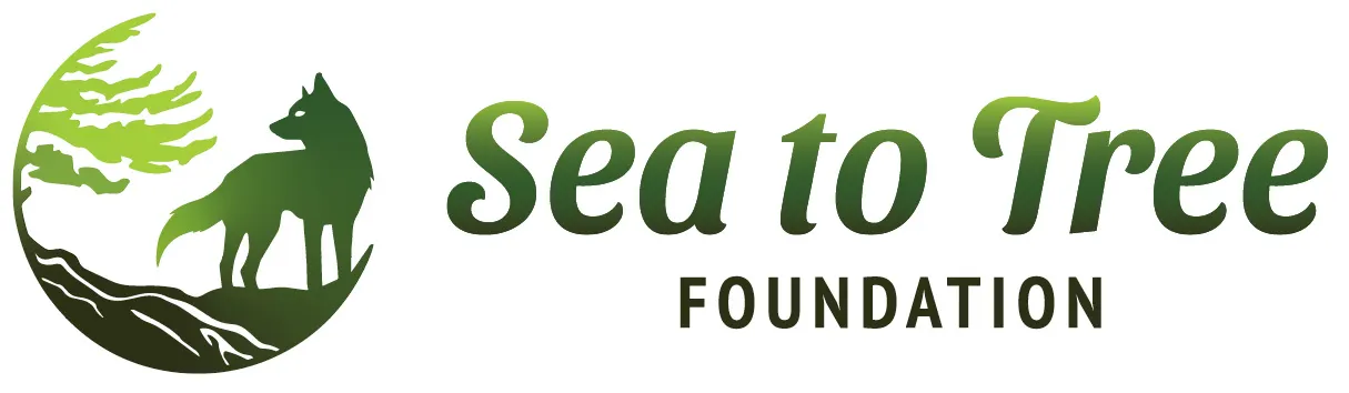 Sea to Tree Foundation