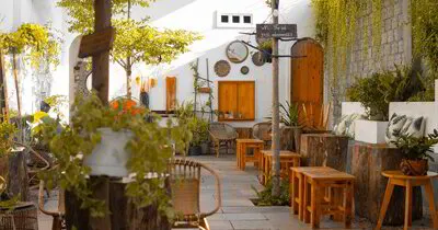 Cafe Pest Control Brisbane | Call 1300 13 73 78 | Book online