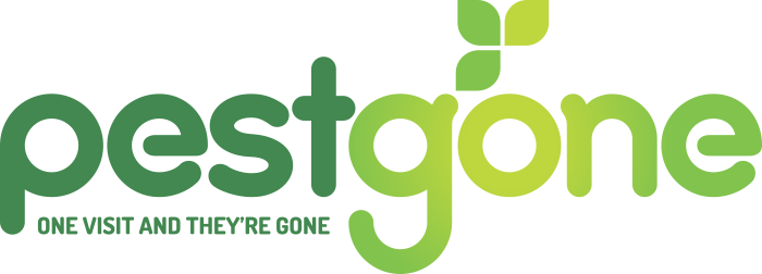 Pest Control Brisbane | Book online or call 1300 13 73 78