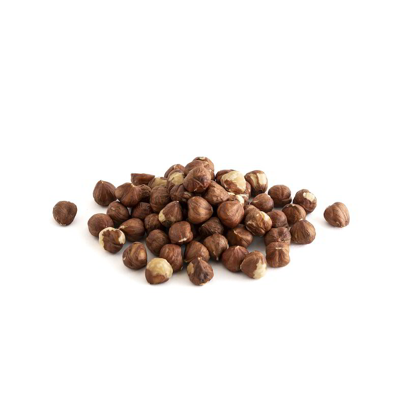 Hazelnoten naturel bruin