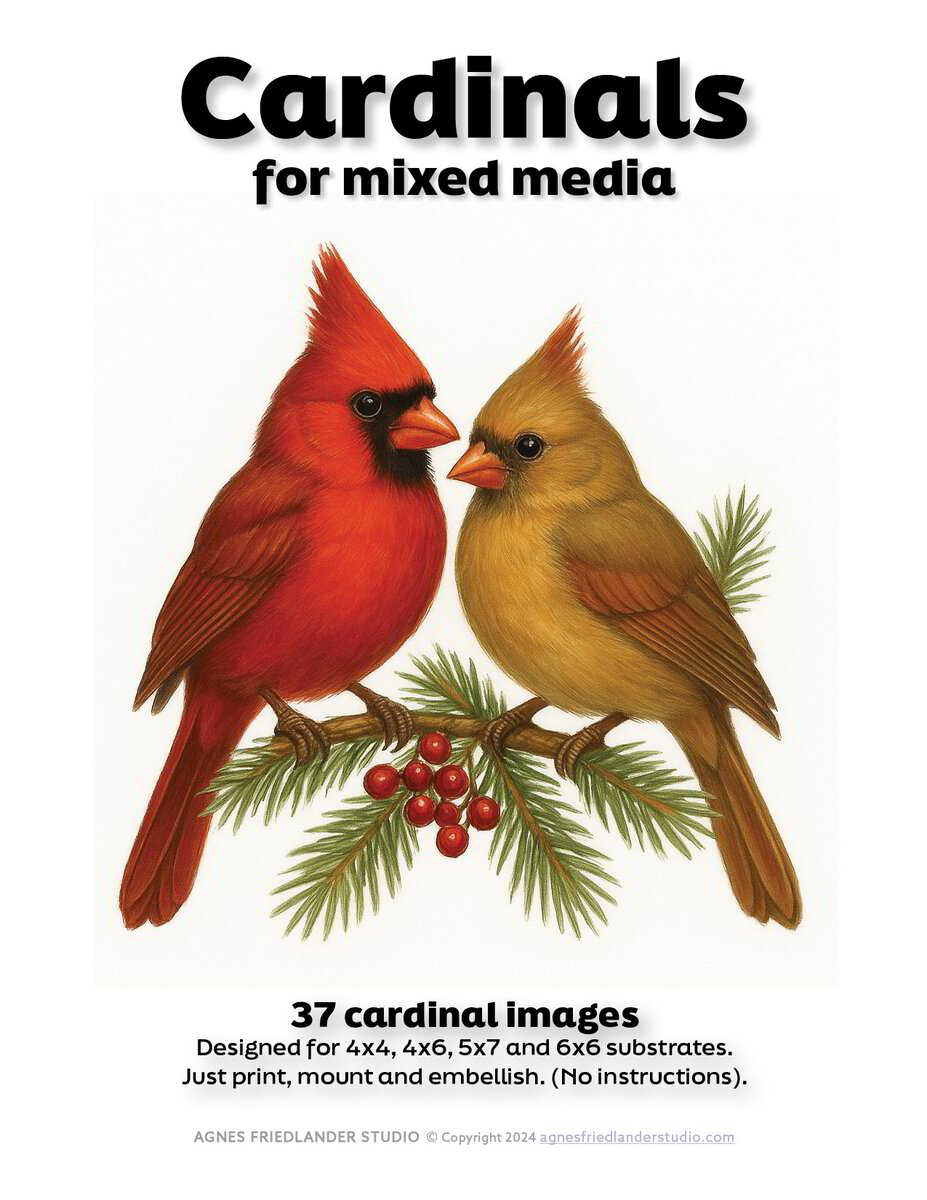 Cardinals Set Digital Download