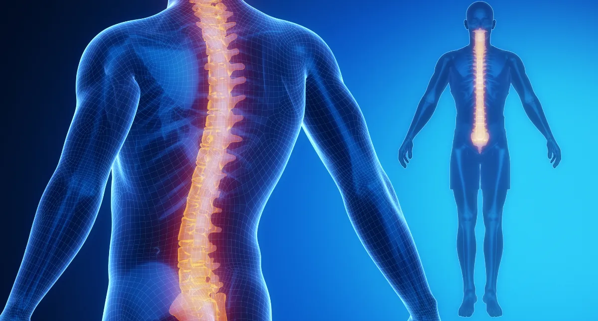 Understanding Spinal Curves in Children: Why Regular Check‑Ups Matter