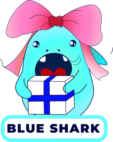 Blue Shark Car Wash | Shine Bright with Expert Care