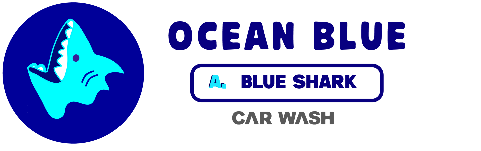 Blue Shark Car Wash | Shine Bright with Expert Care